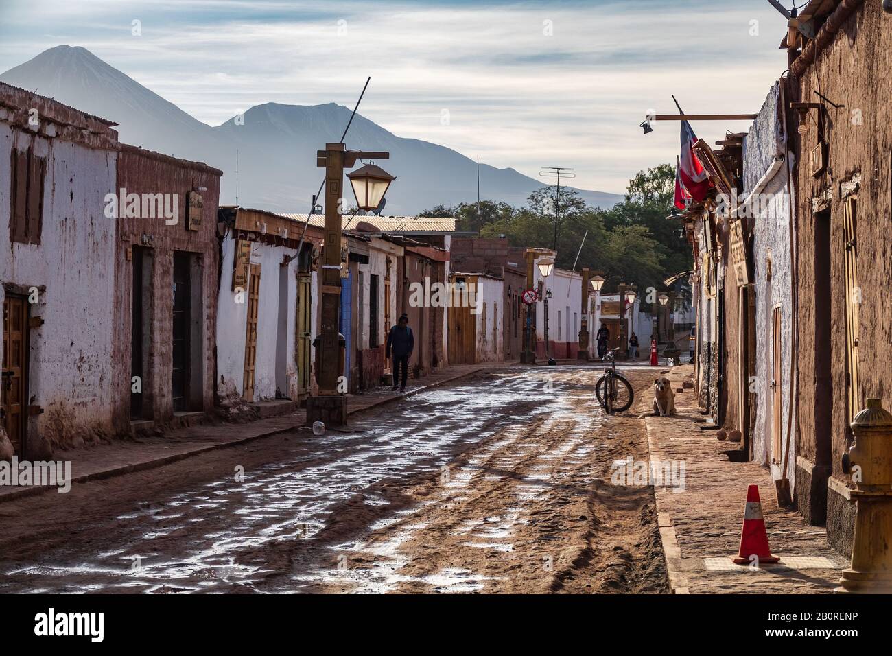 Early morning riser hi-res stock photography and images - Alamy