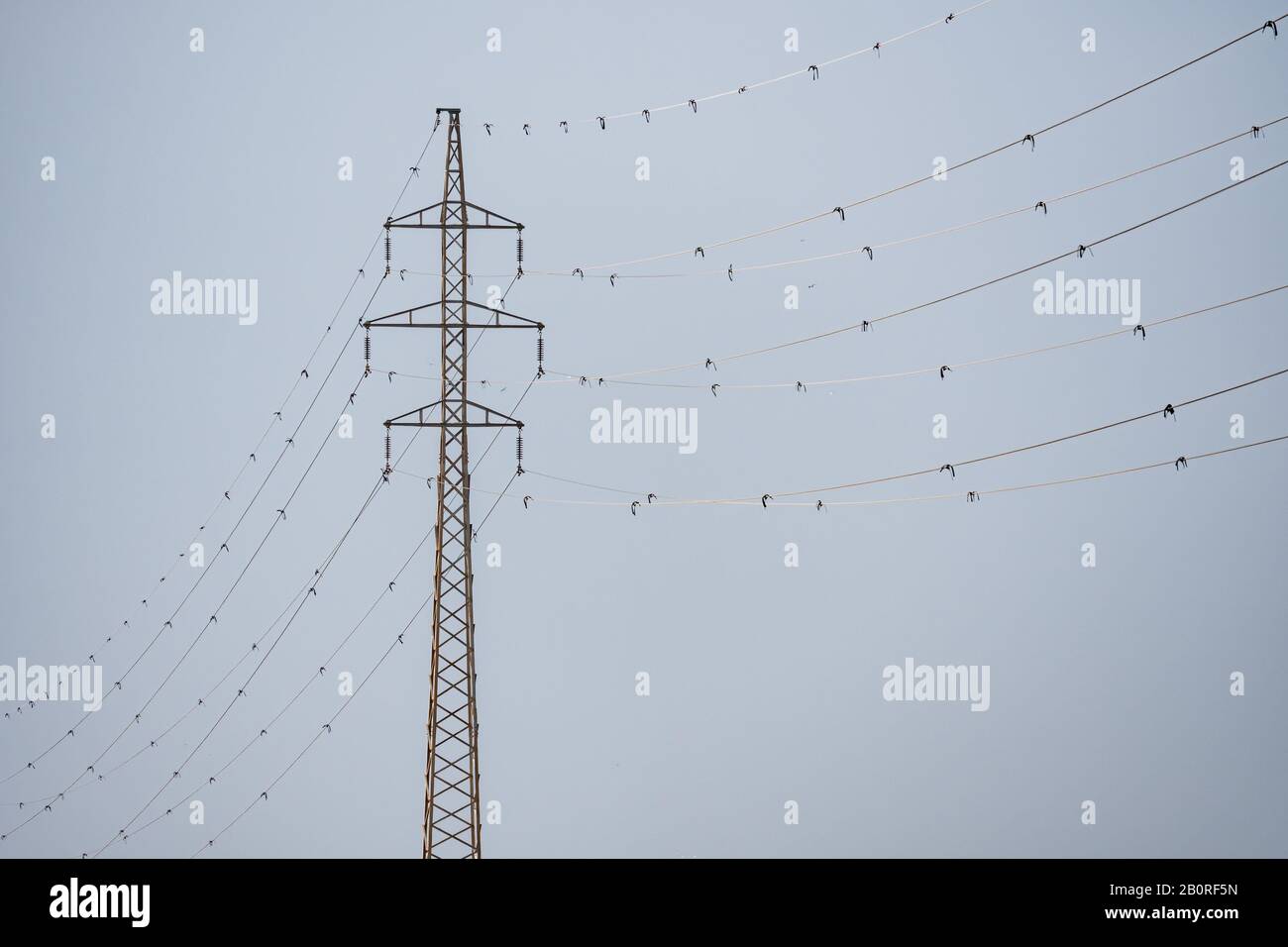 Power tower with signals for bird protection Stock Photo - Alamy