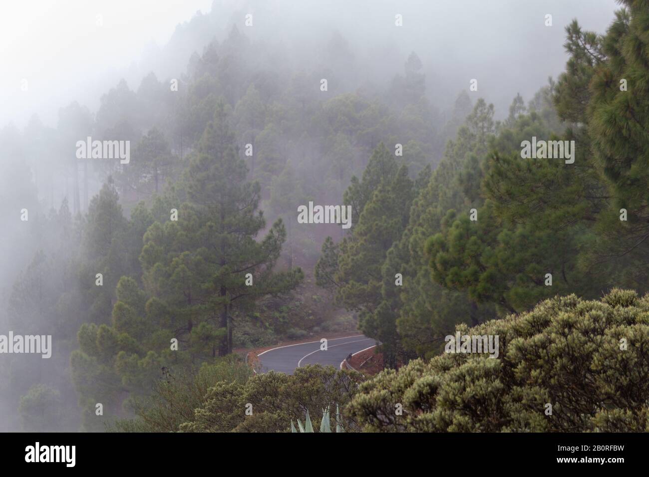 Foggy road view hi-res stock photography and images - Alamy