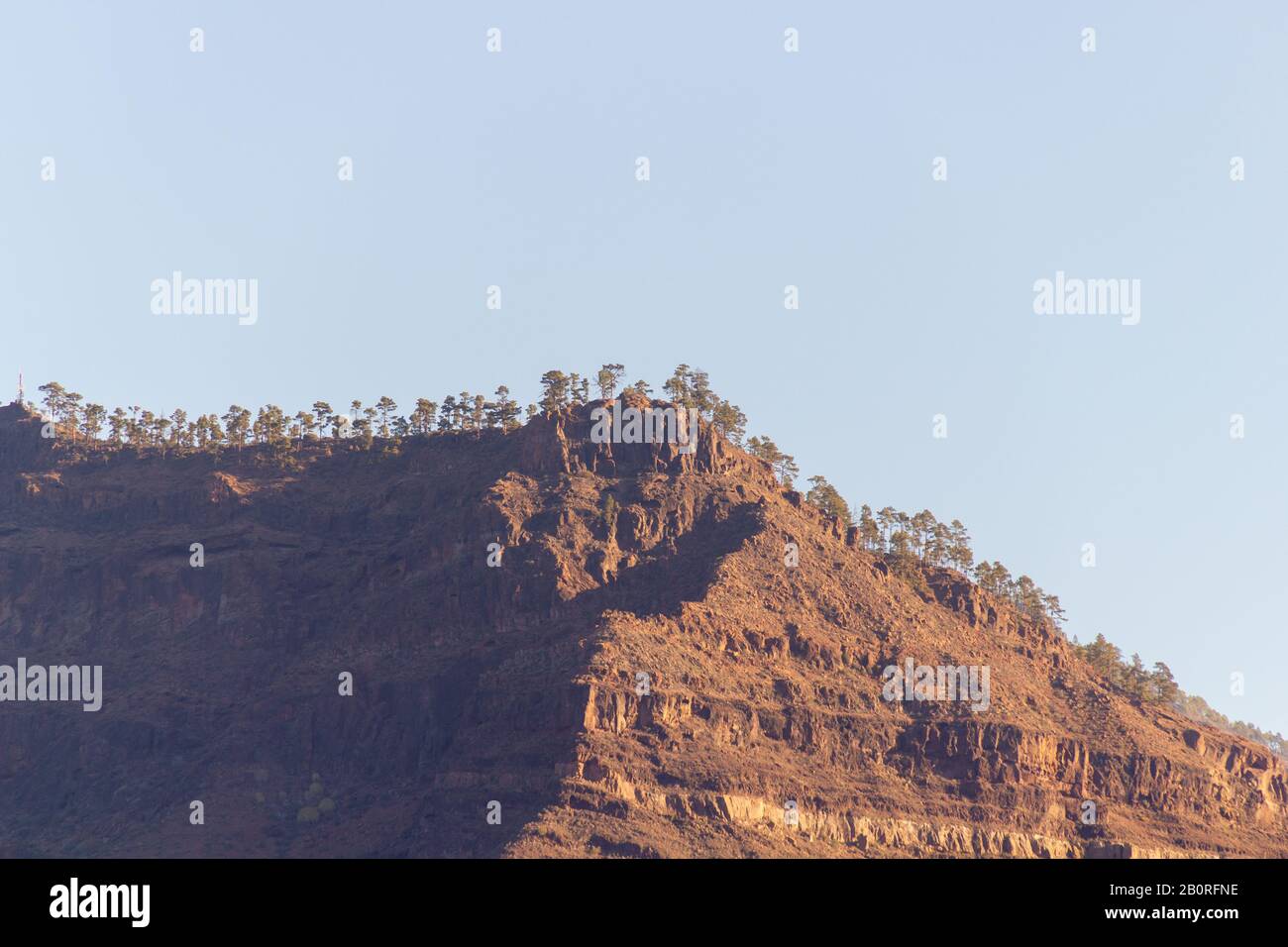 Tree row on mountain hi-res stock photography and images - Alamy