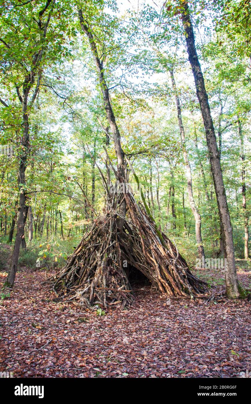 Tipi Shelter made of Branches in Green Forest at Fall Stock Photo - Alamy