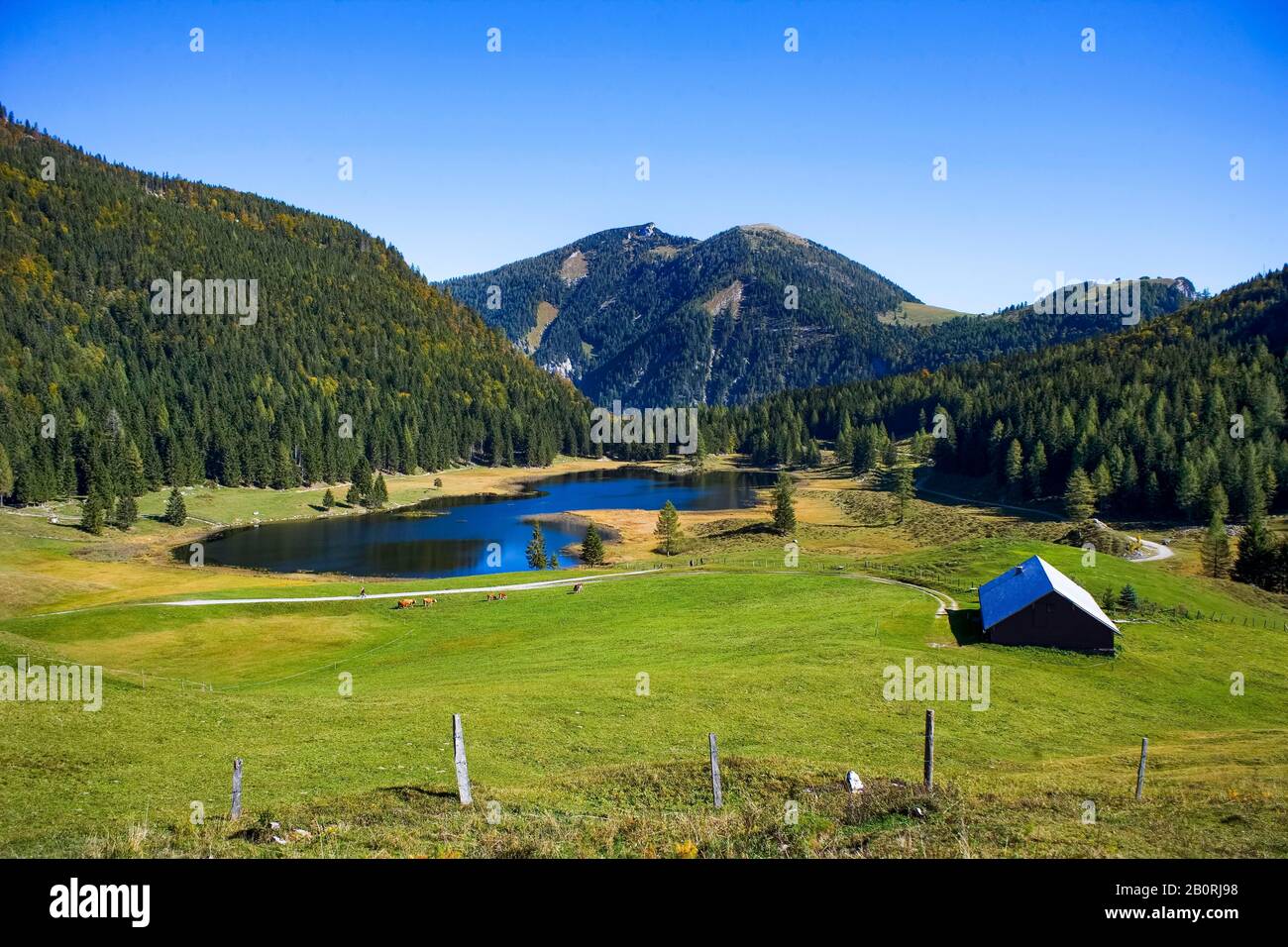 Mountain lake, Seewaldsee, Tennengau, Province of Salzburg, Austria ...