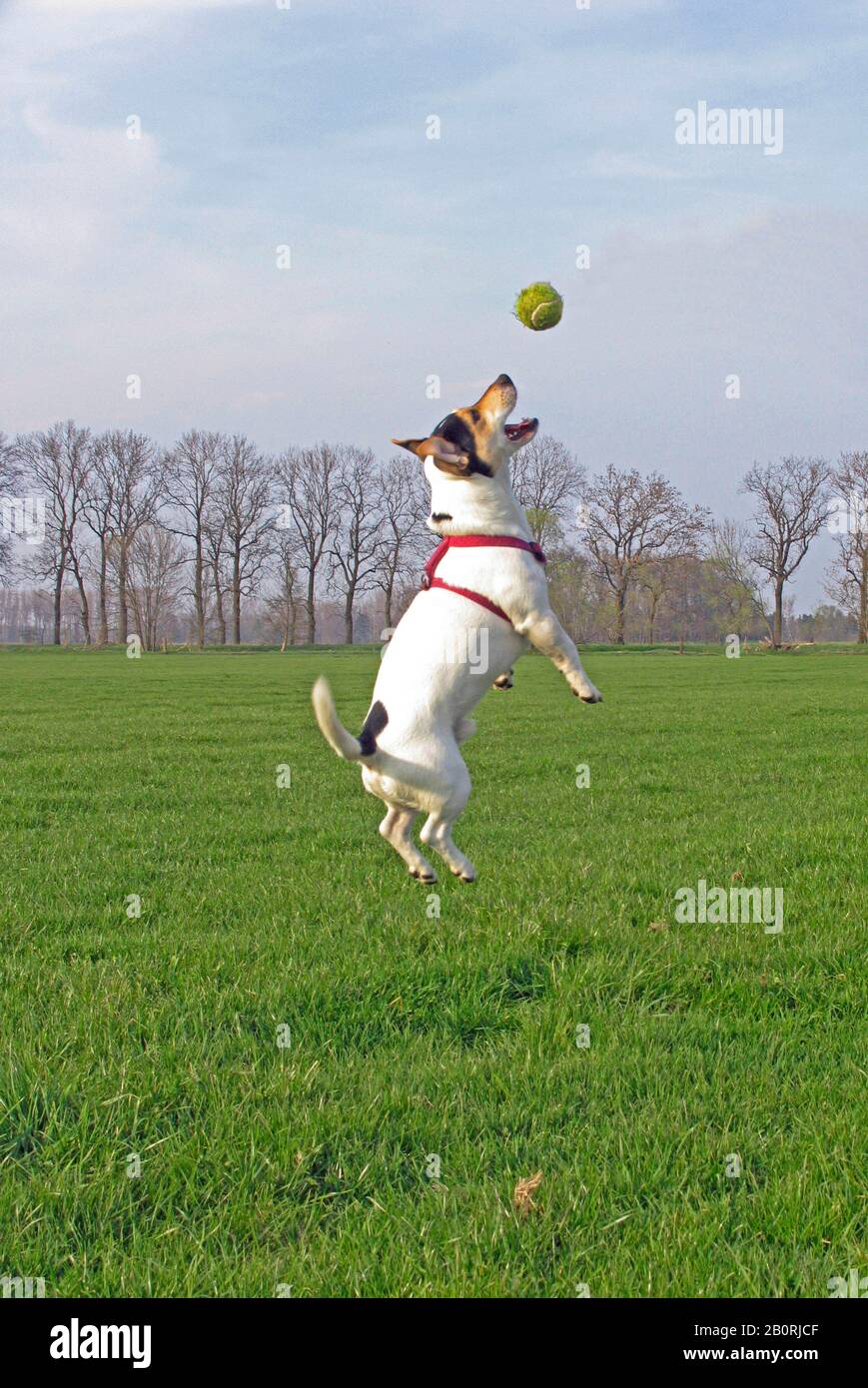 Air jack hi-res stock photography and images - Alamy