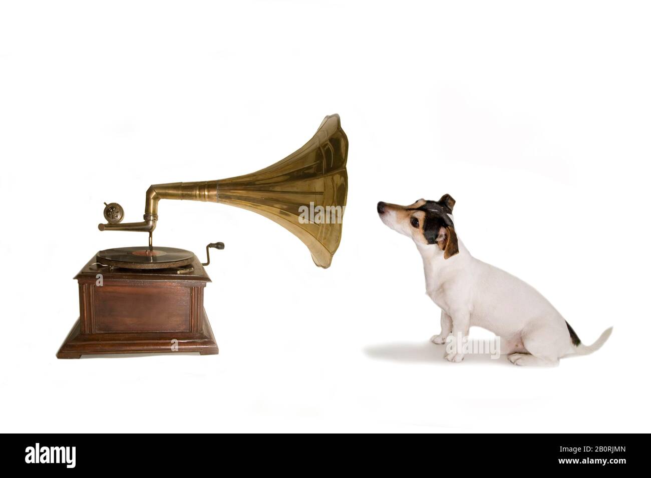 Dog gramophone Cut Out Stock Images & Pictures - Alamy