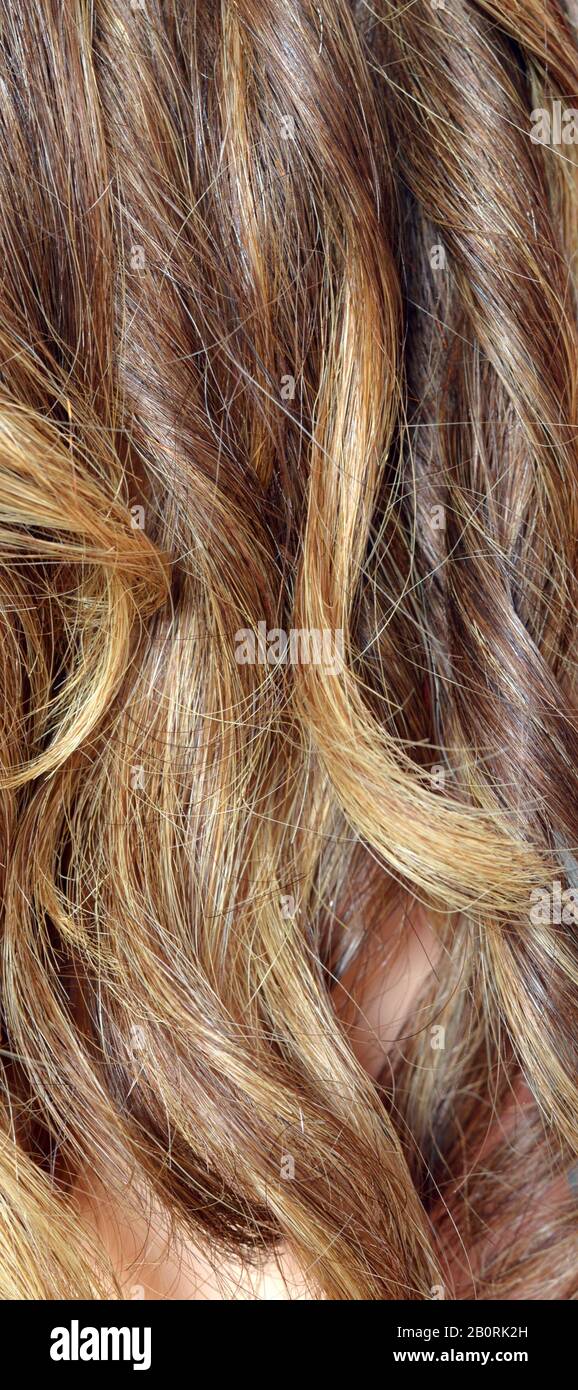 Close up Pictures of golden blonde hair Stock Photo - Alamy