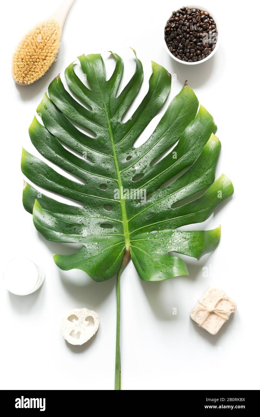 Monstera leaf, brush, coffee beans, soap, SPA set for cellulite removal ...