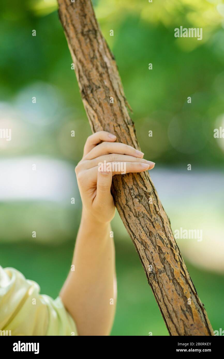 Thin tree trunk covered green hi-res stock photography and images - Alamy