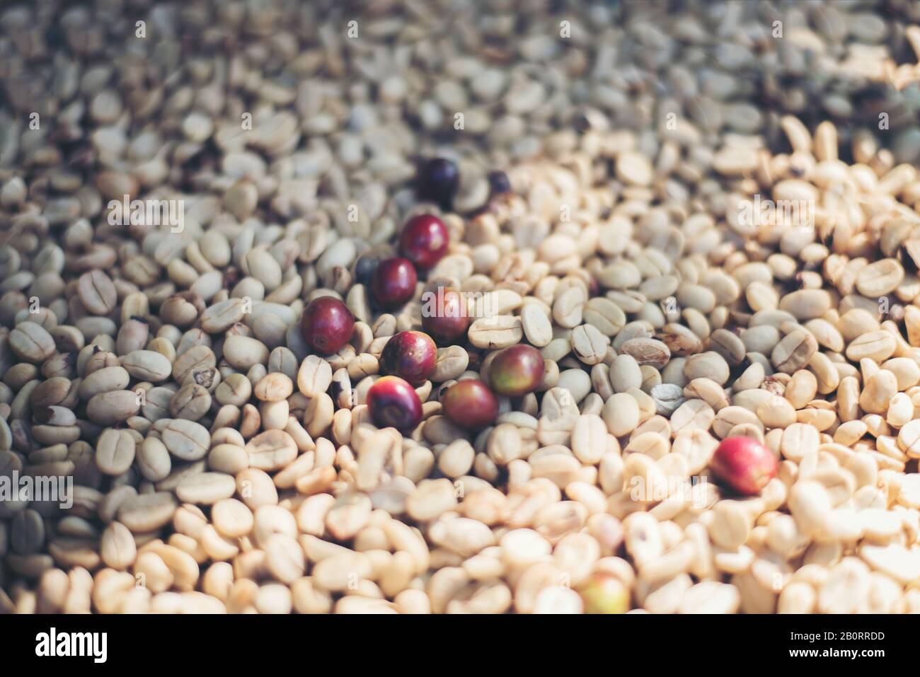 Dried raw coffee grains hi-res stock photography and images - Alamy