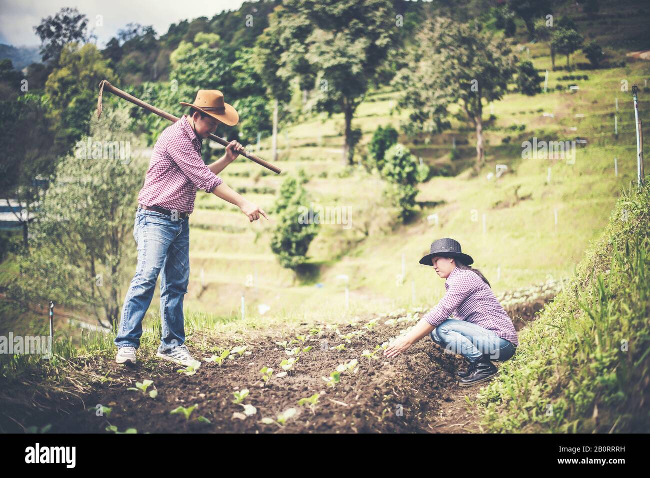 Farmer planting tree In the garden Stock Photo - Alamy