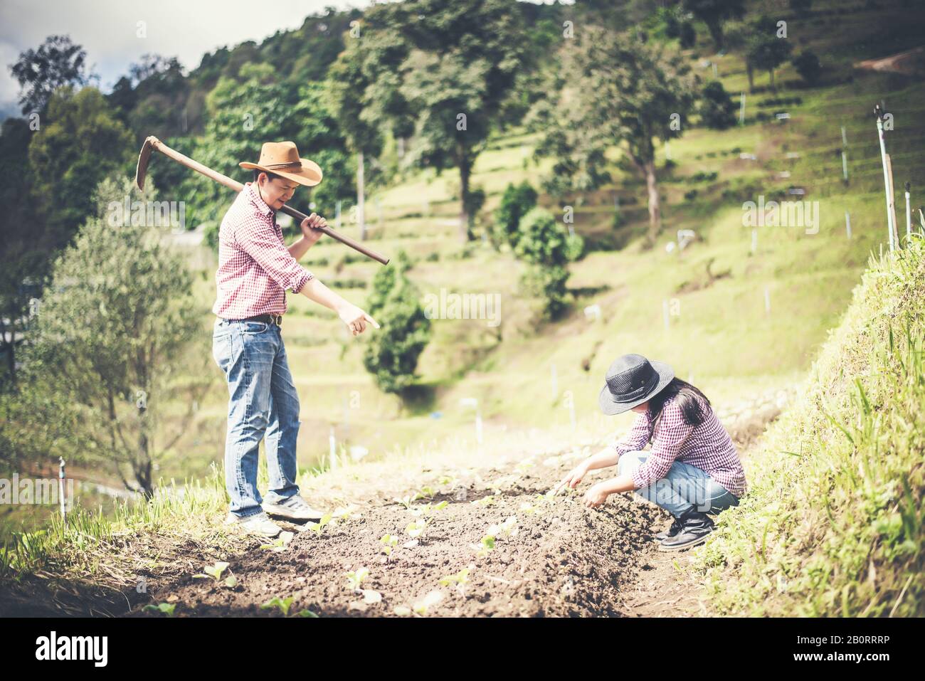 Farmer planting tree In the garden Stock Photo - Alamy