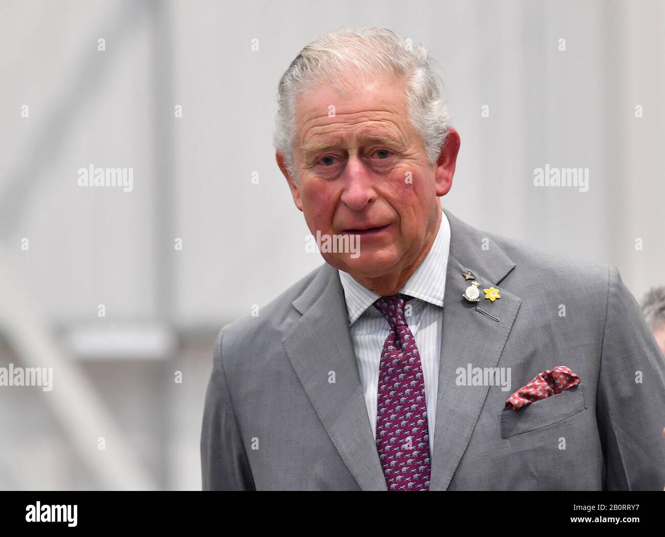 The Prince of Wales during a visit to the CAF train factory in Newport ...