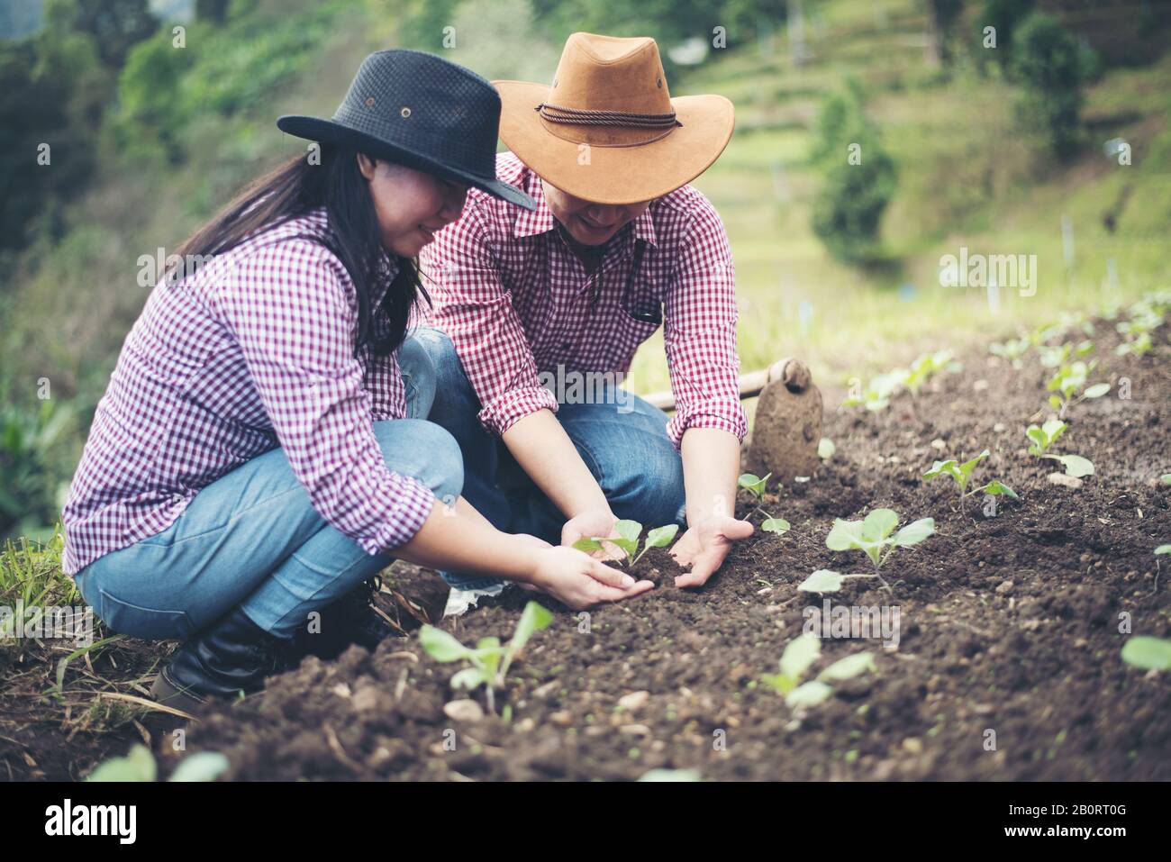 Farmer planting tree In the garden Stock Photo - Alamy