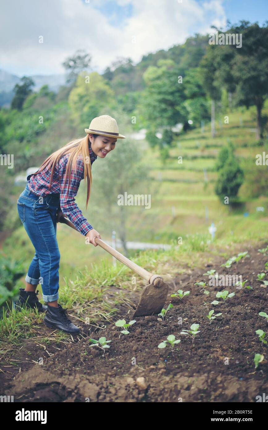 farmer woman Planting trees in the garden Stock Photo - Alamy