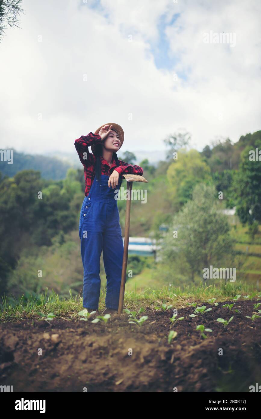 farmer woman Planting trees in the garden Stock Photo - Alamy