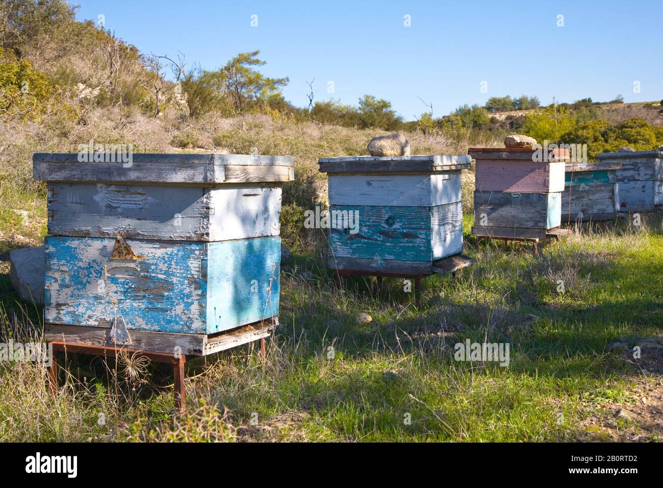 Commercial pollination hi-res stock photography and images - Alamy