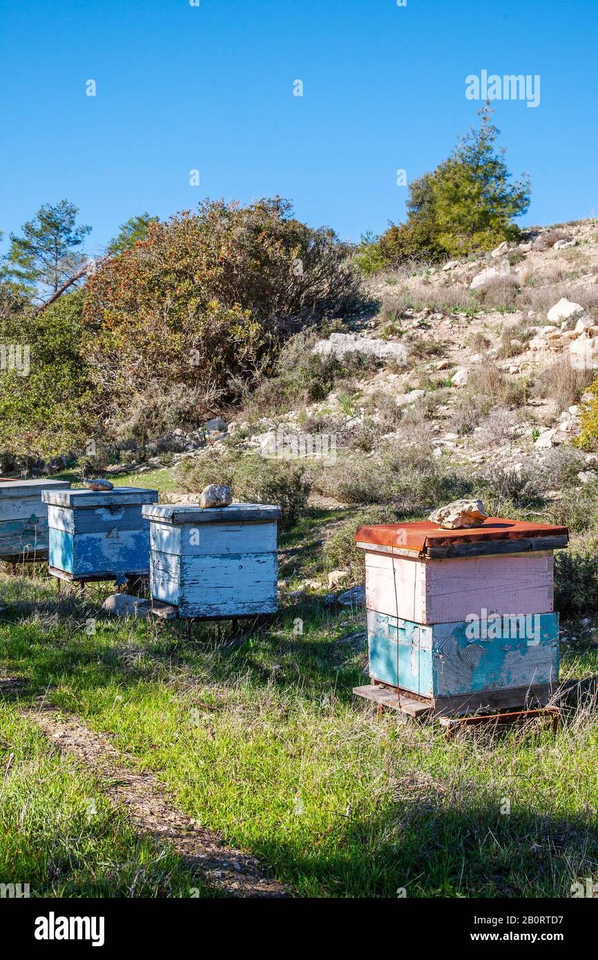 Traditional Bee Hives, BeeKeeping, honey bee colonies in Cyprus ...