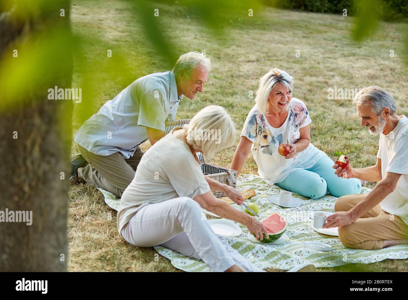 Friendly senior citizens have a picnic together in the summer Stock ...