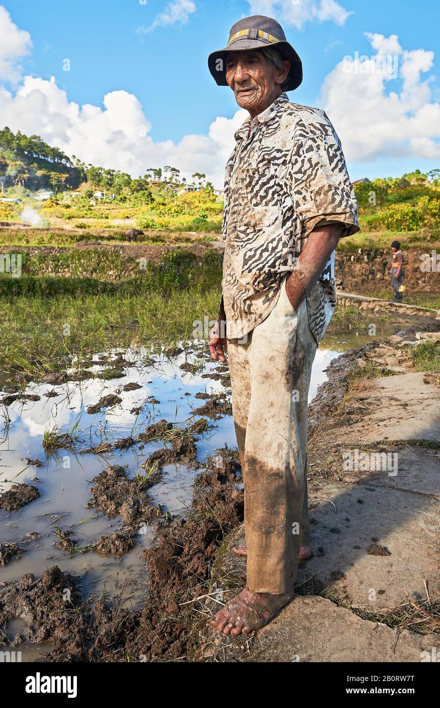 Ambasing near Sagada, Mountain Province, Philippines: Old proud rice ...