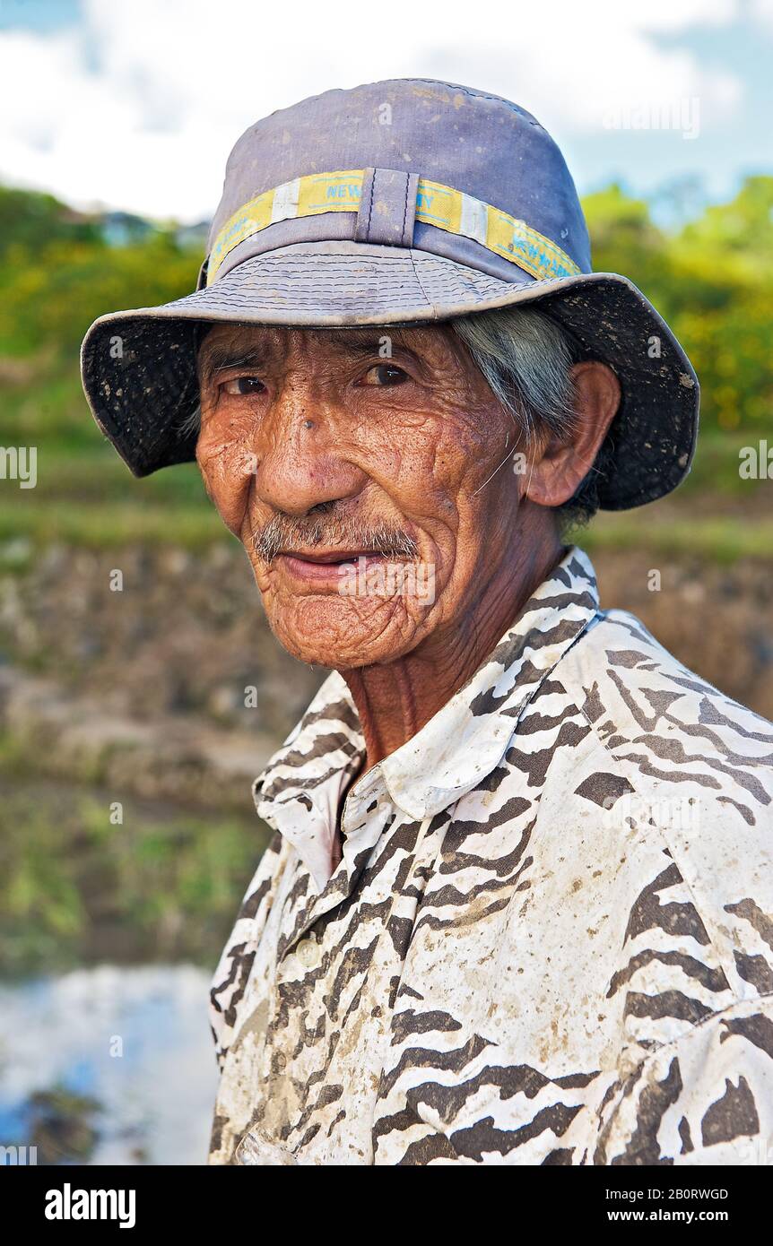 Ambasing near Sagada, Mountain Province, Philippines: Old proud rice ...
