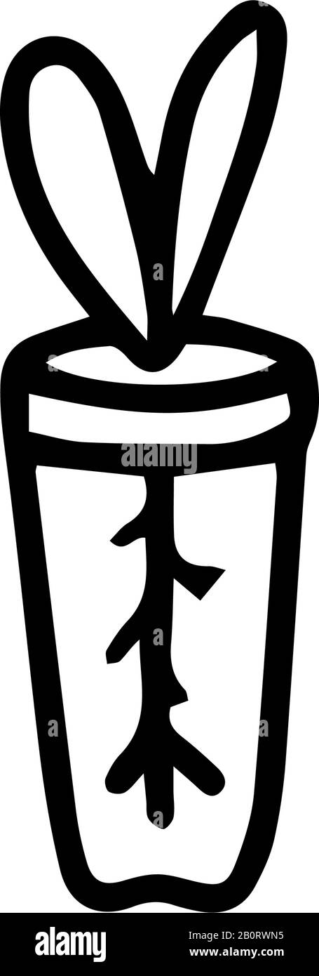 Seedlings in hand drawn doodle style isolated on white background ...