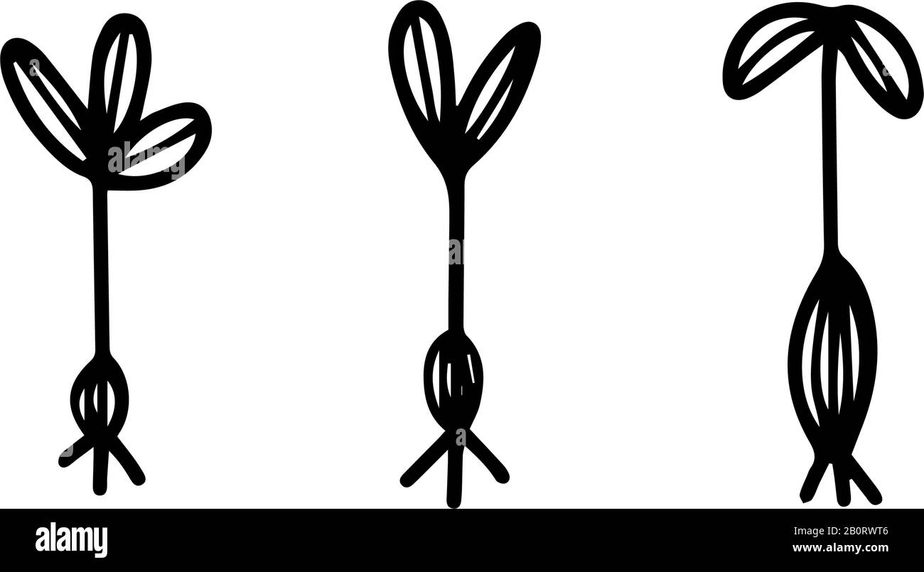 Seedlings in hand drawn doodle style isolated on white background ...