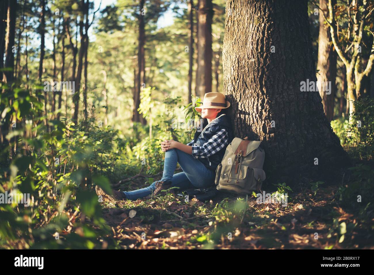 Woman sleeping under tree hi-res stock photography and images - Alamy