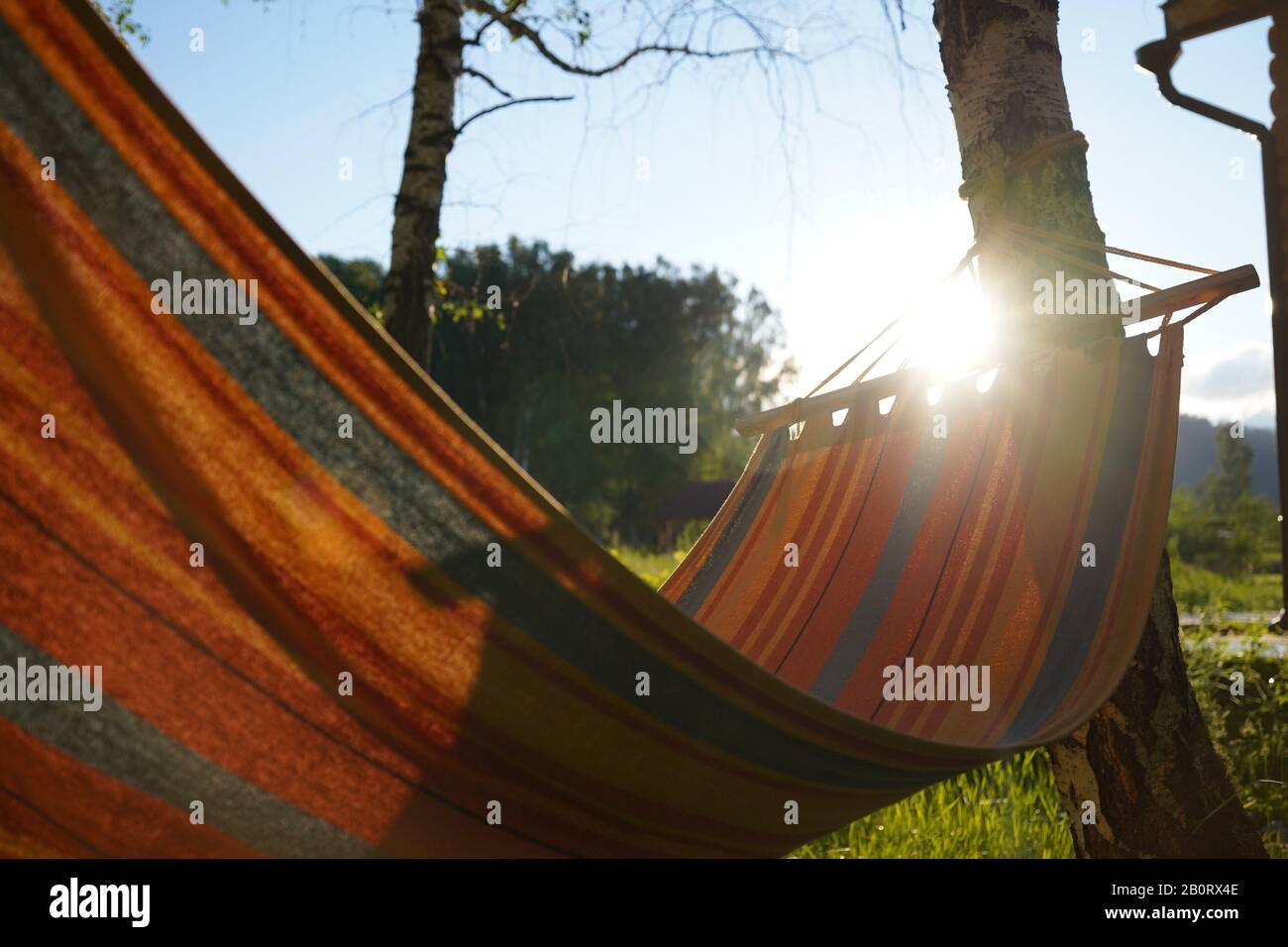 An empty hammock with red and blue stripes is hanging on the bearch ...