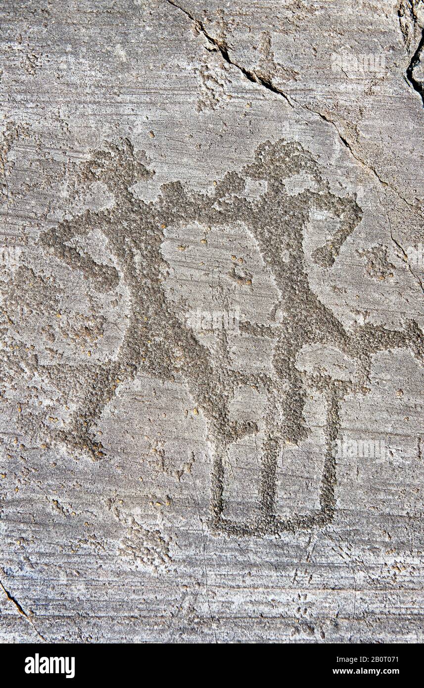 Petroglyph, rock carving, of two warriors boxing. Carved by the ancient ...