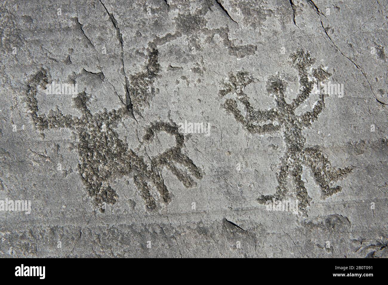 Petroglyph, rock carving, of a ceremony. Carved by the ancient Camunni ...