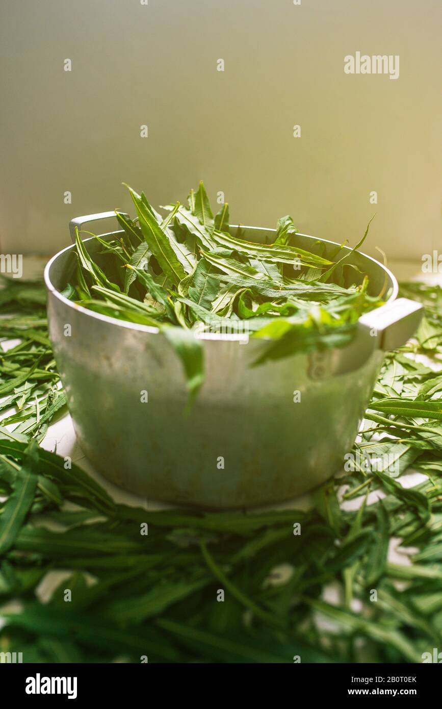 Pan with leaves. Natural background with sunlight Stock Photo - Alamy