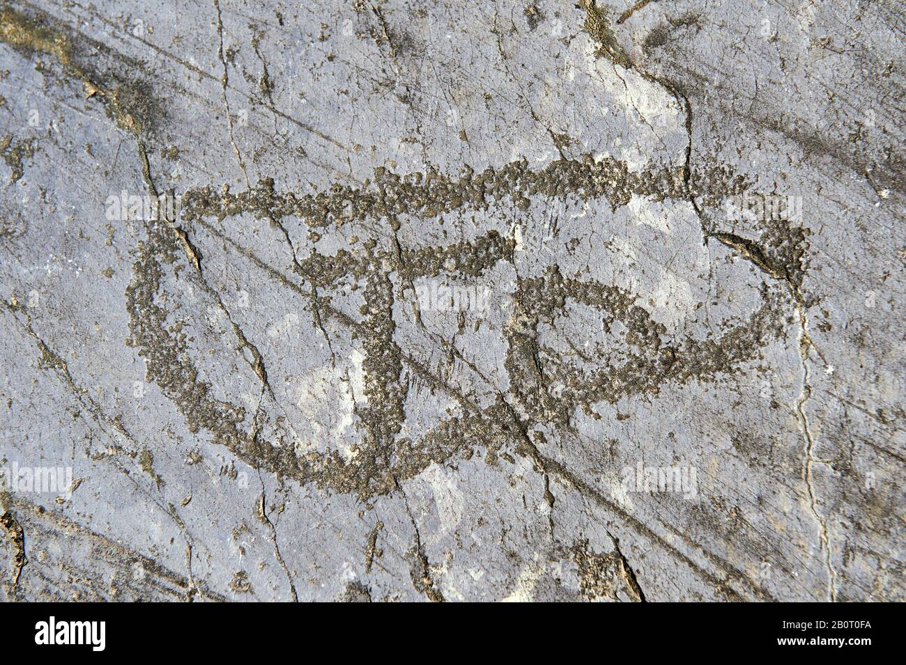 Petroglyph, rock carving, of a foot outline. Carved by the ancient ...