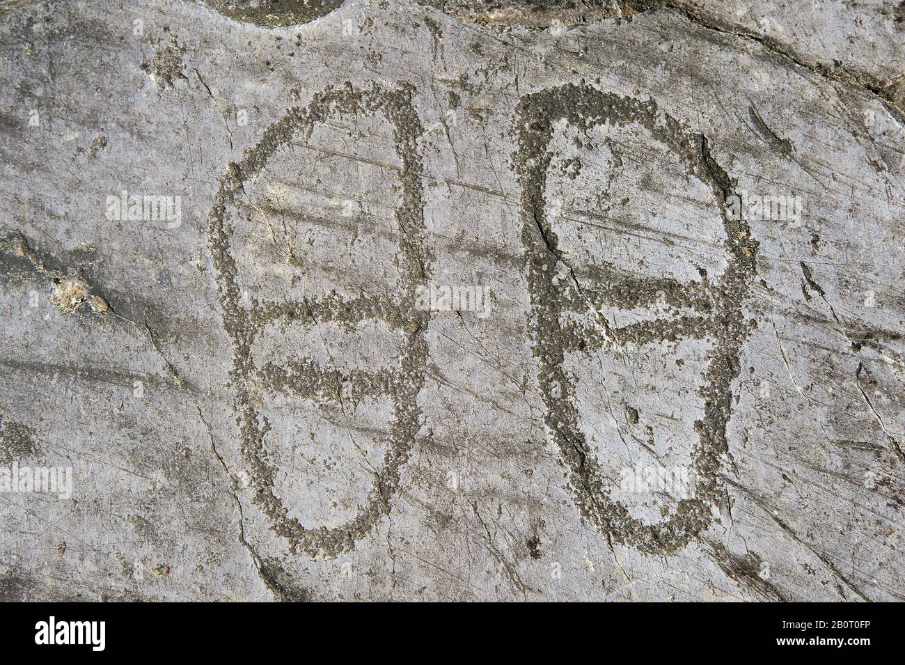 Foppi di nadro hi-res stock photography and images - Alamy