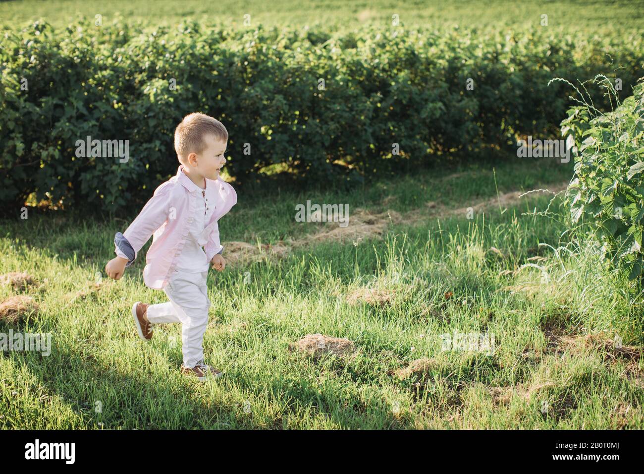 Happy little boy running on the field Stock Photo - Alamy