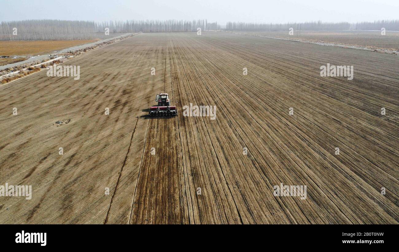 Chinese farmers plough and seed a wheat field with a tractor in Heshuo ...