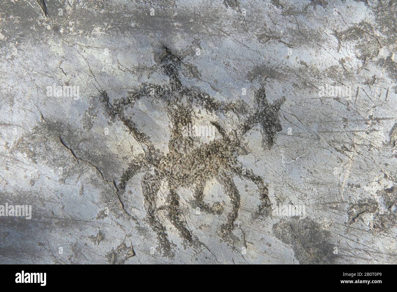 1600 feet hi-res stock photography and images - Alamy