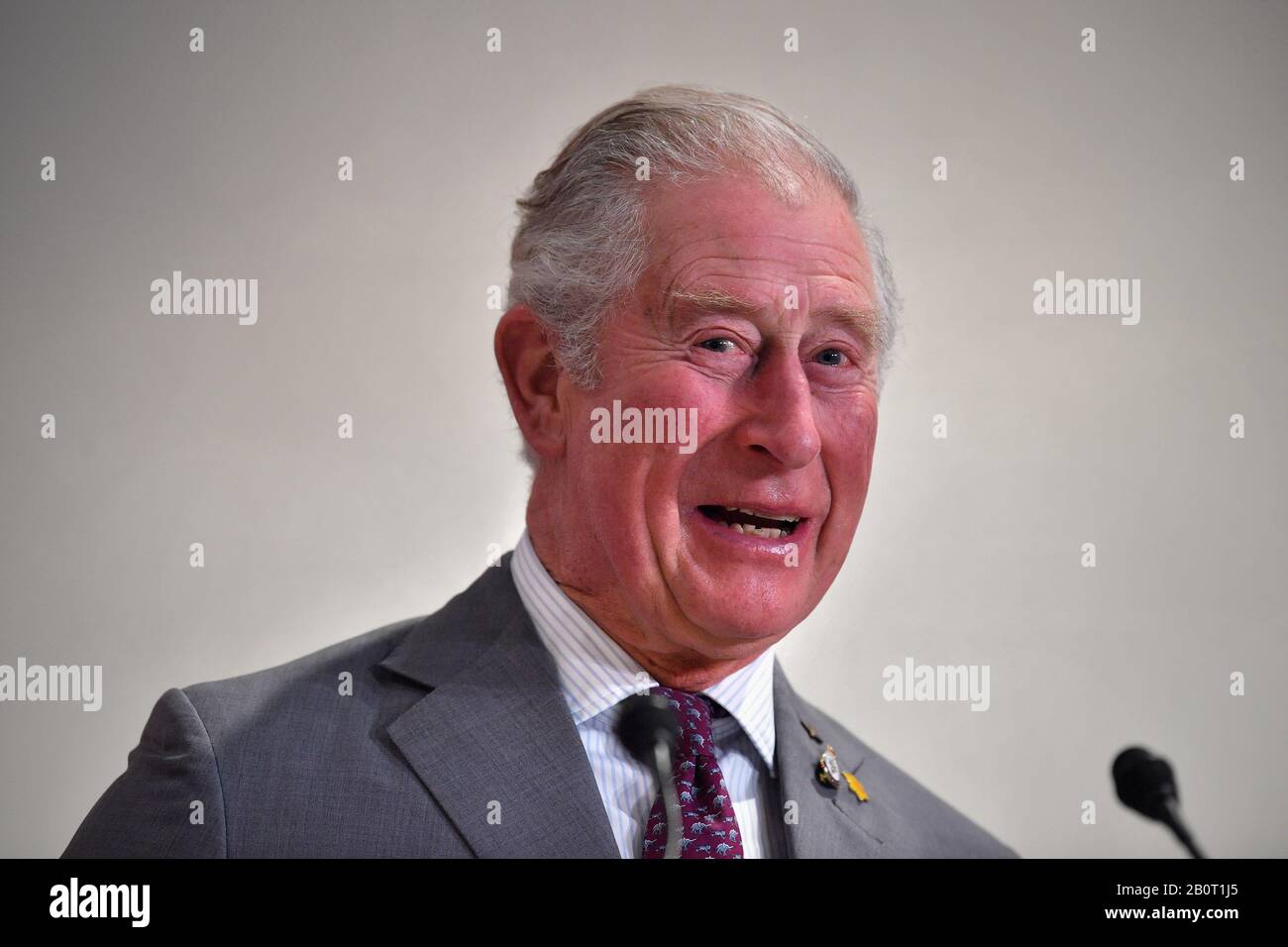 The Prince of Wales speaking during a visit to the CAF train factory in ...