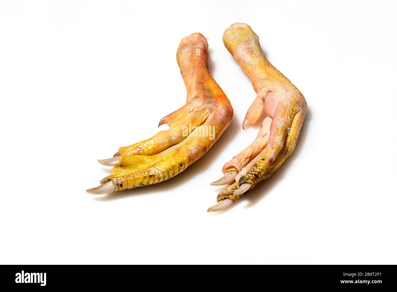 raw duck feet. food ingredient Stock Photo - Alamy