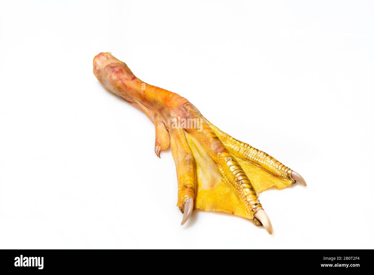 raw duck feet. food ingredient Stock Photo - Alamy