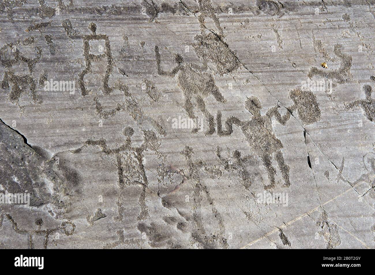 Petroglyph, rock carving, of a warriors with a shields and swords ...