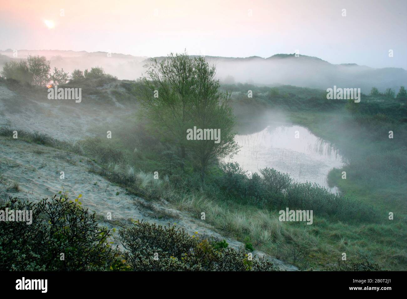 The in between hi-res stock photography and images - Alamy