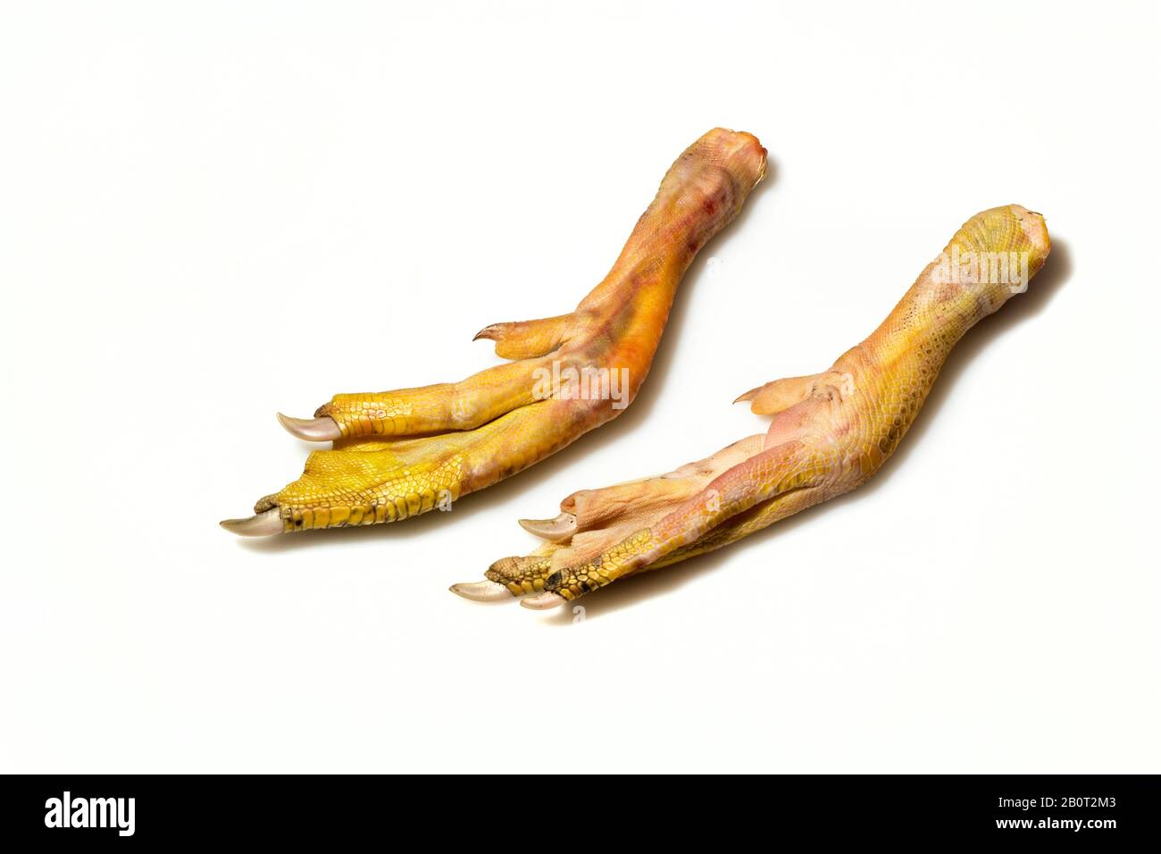 Duck feet hi-res stock photography and images - Alamy