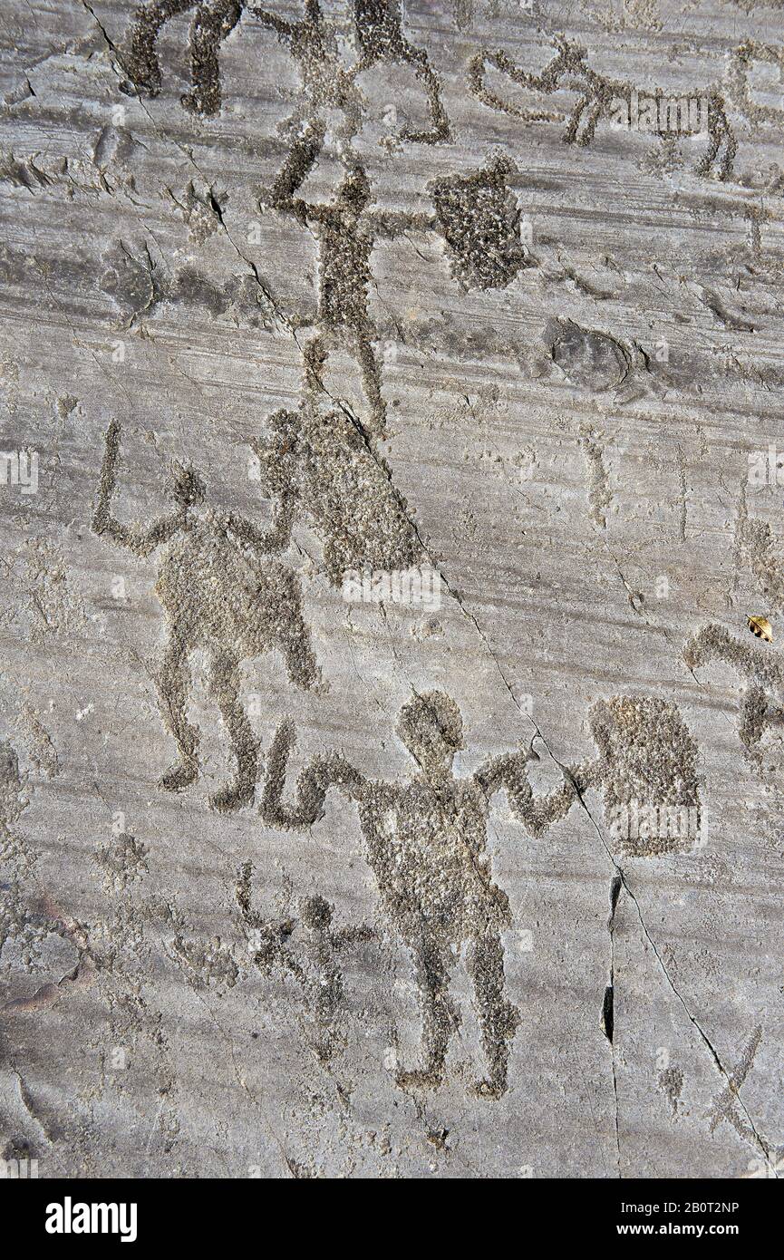 Petroglyph, rock carving, of a warriors with a shields and swords ...