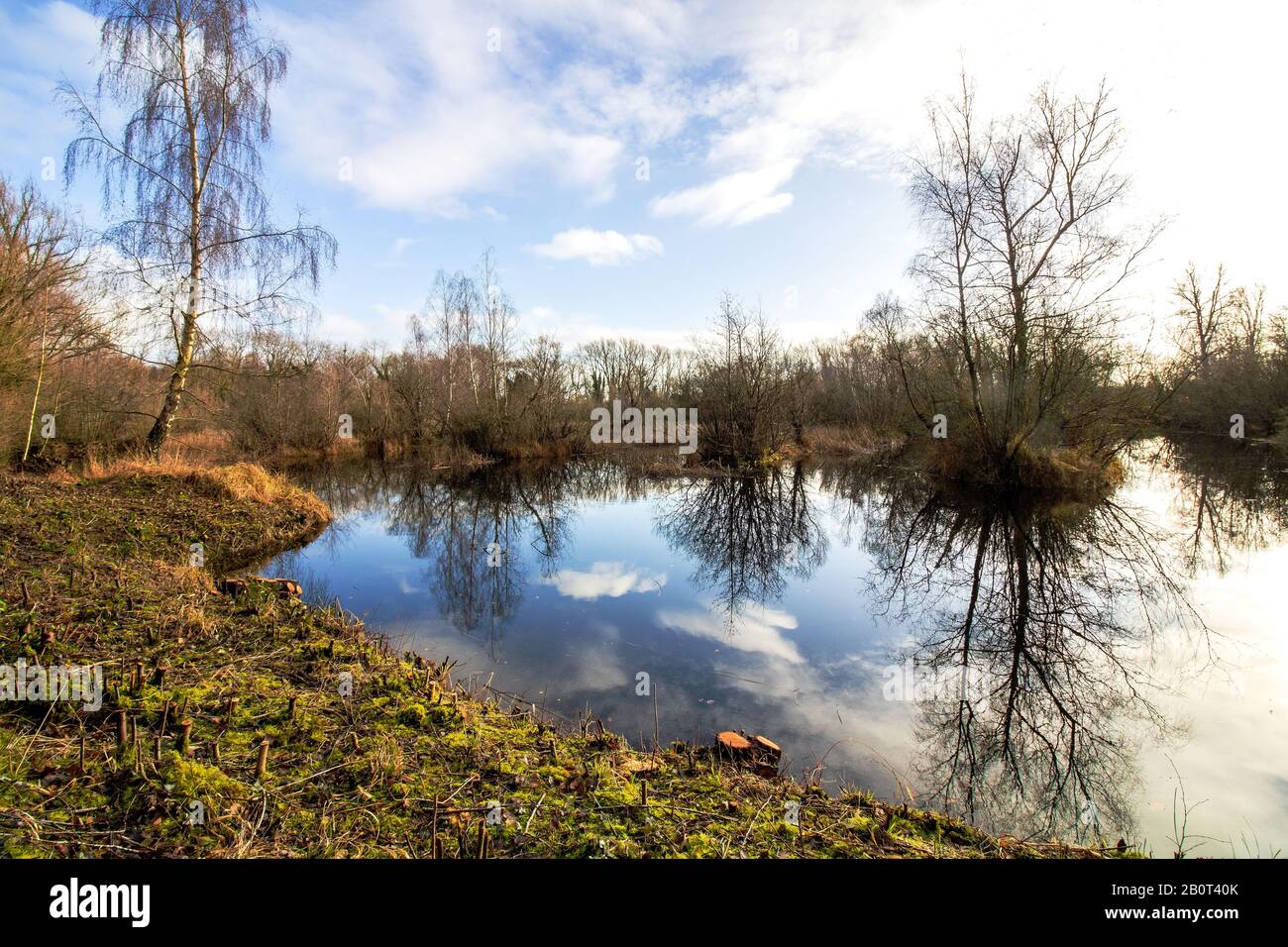 Winter reflections of the sky and trees in the tranquil waters of ...
