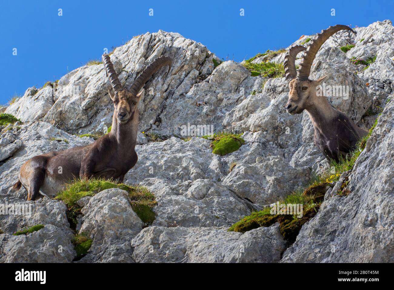 Two sides of mountain hi-res stock photography and images - Alamy