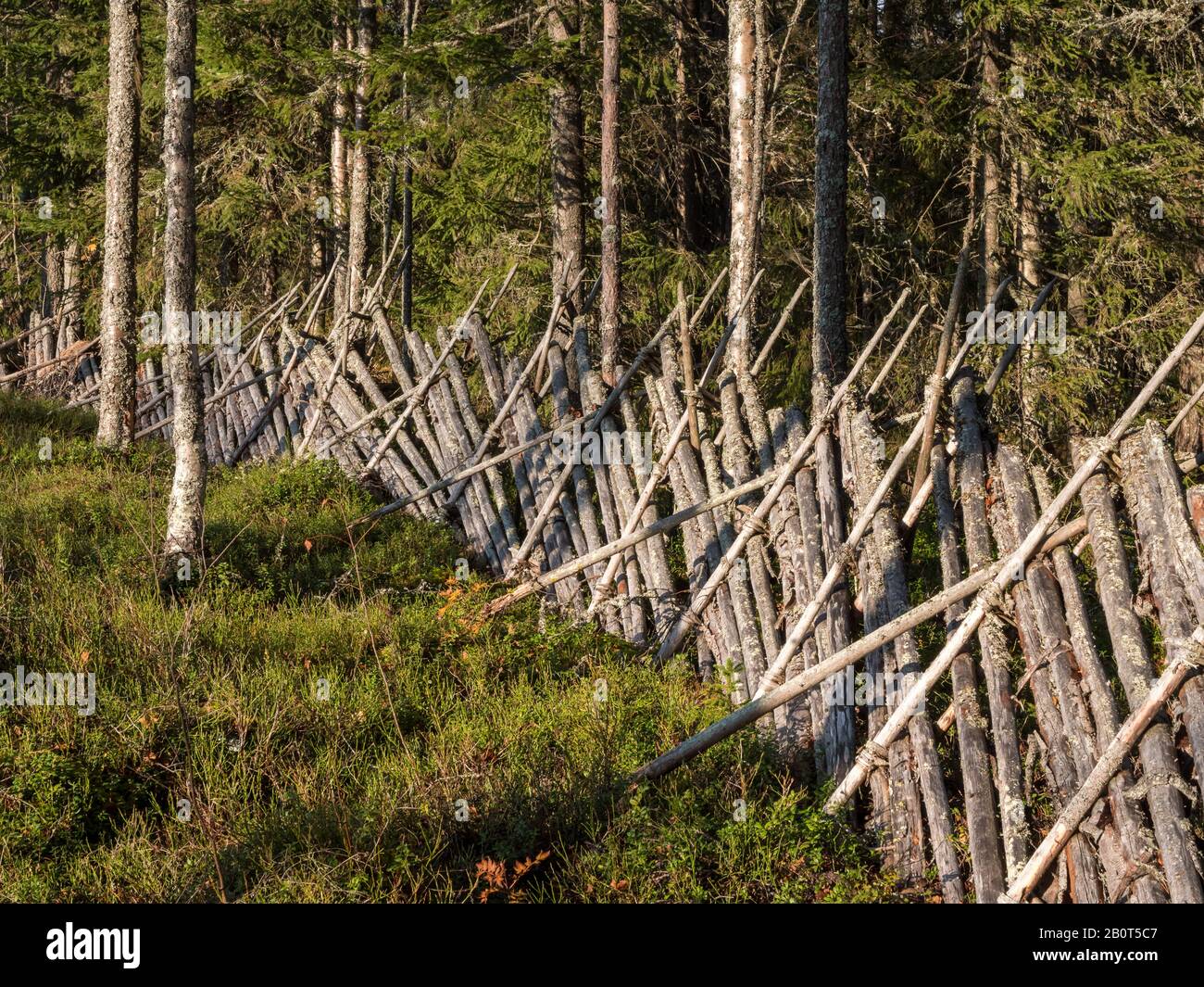 Traditional wooden roundpole fence Stock Photo - Alamy