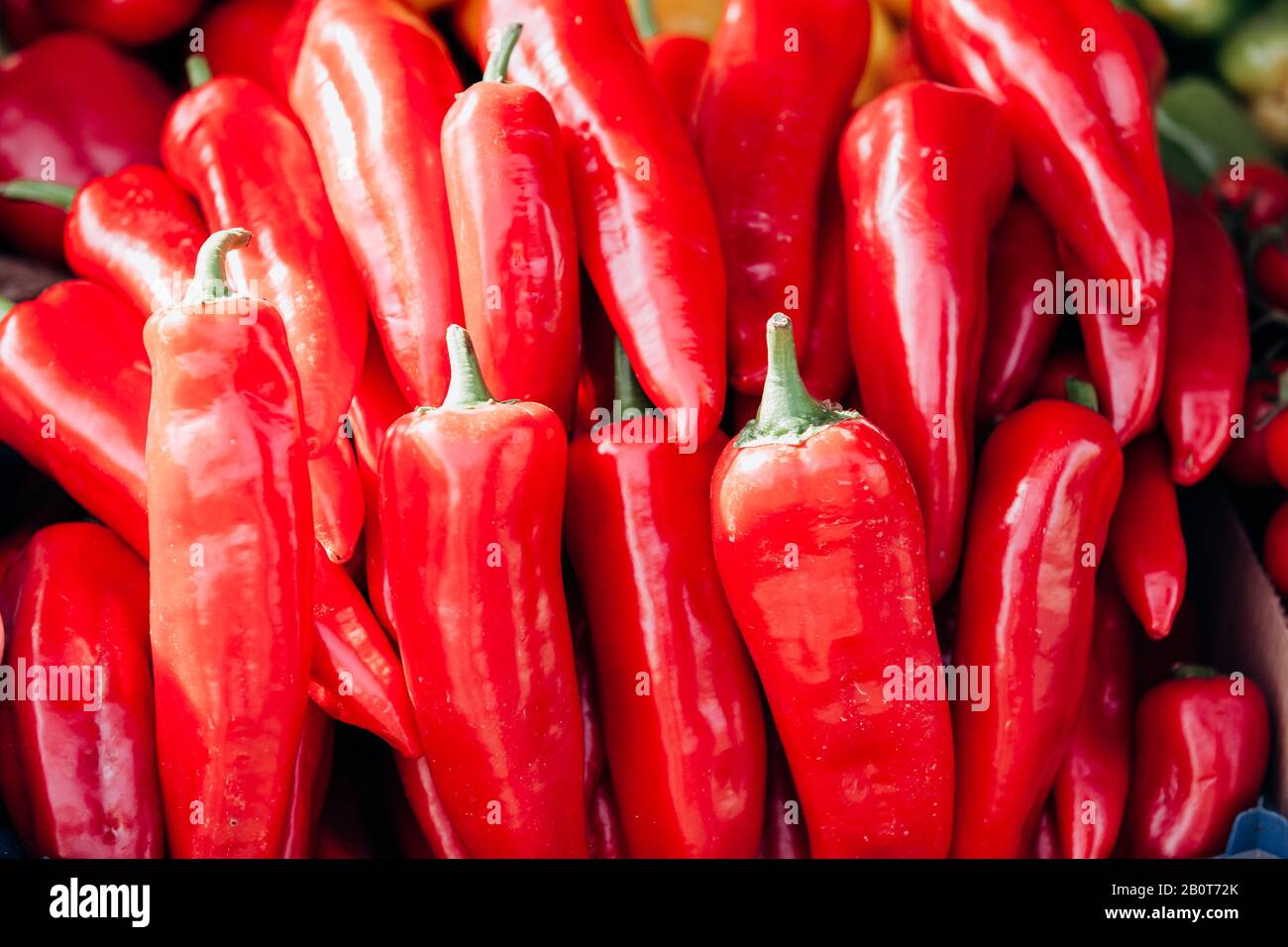 Heap Of Ripe Big Red Peppers as background. Background and red pepper ...