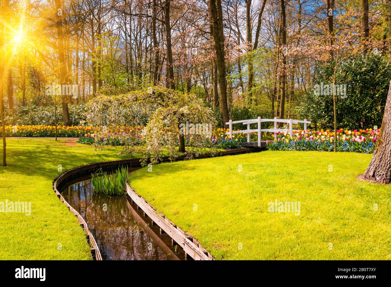 Spring landscape. Sun rays shining on a meadow flowers. garden in ...
