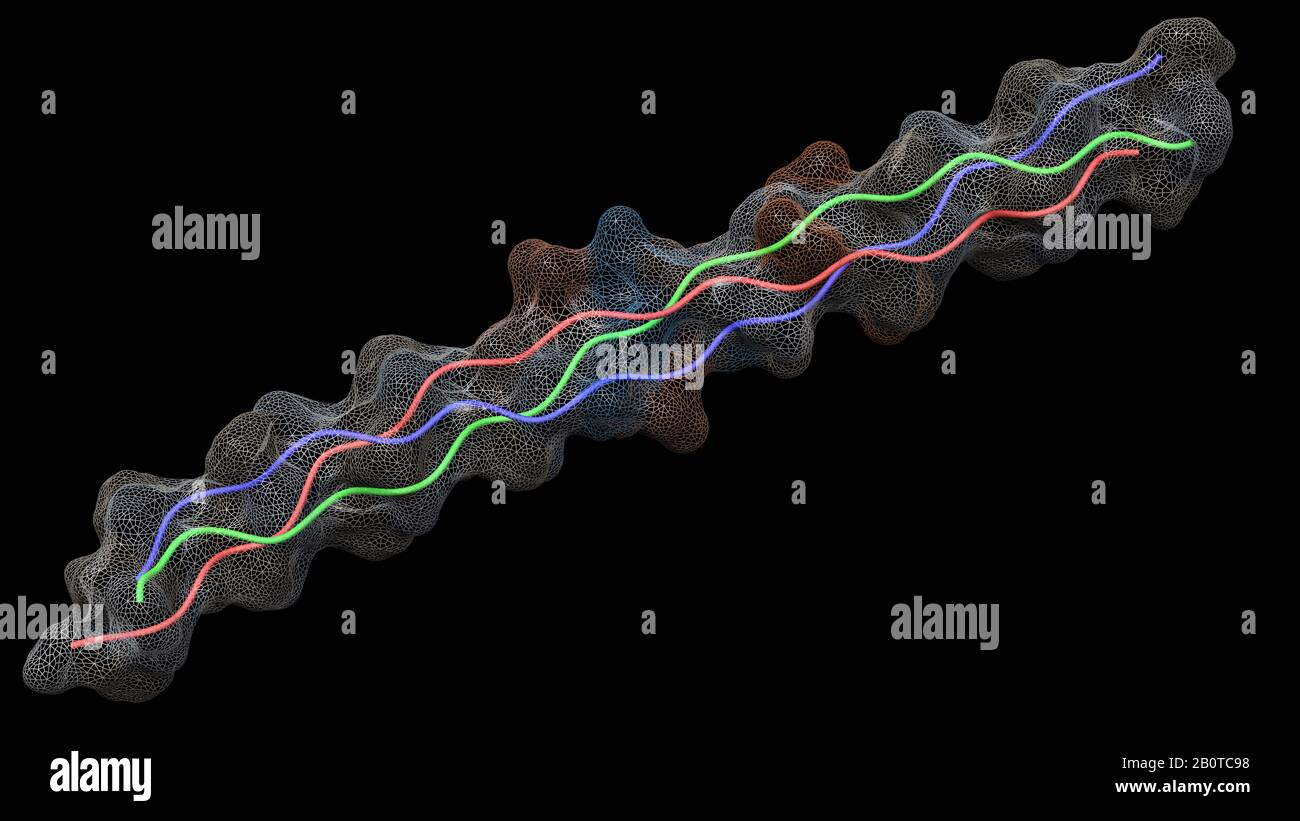 Collagen molecule 3d rendering . Ribbon interior with subtle ...