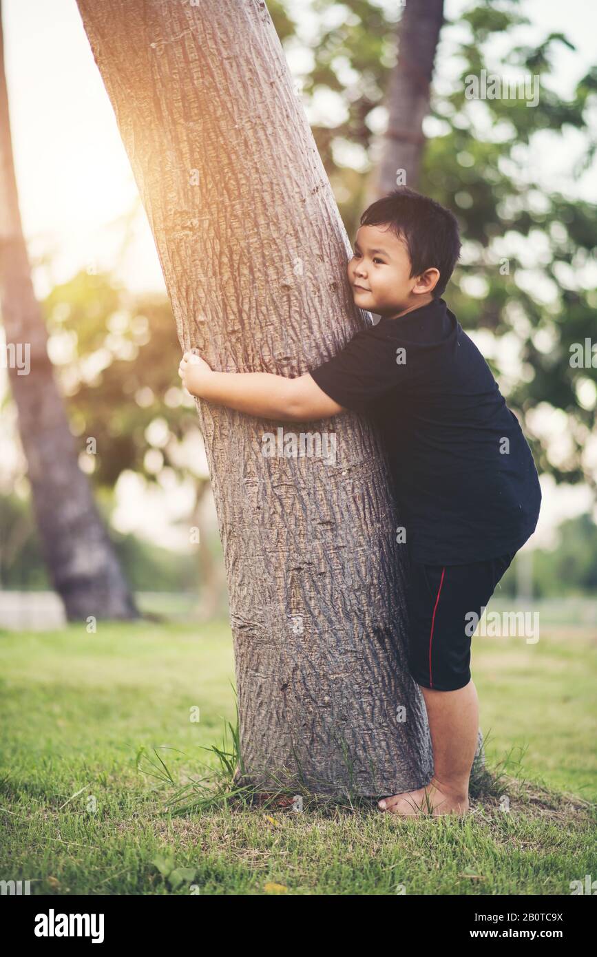 Boy climbing tree in the park Stock Photo - Alamy