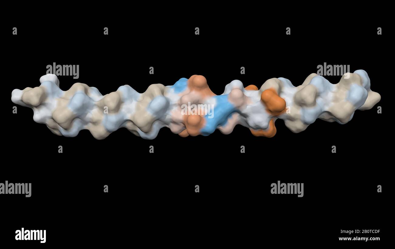 Collagen molecule . Solid surface . 3d rendering Stock Photo - Alamy